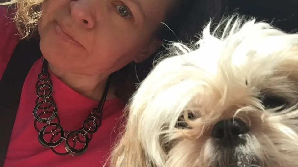 Furs and Fireworks - Lib Dem motion for silent firework move passes ...